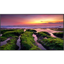 Samsung QM55C 55" Led monitor